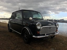 Rover MINI for sale - Japan Partner